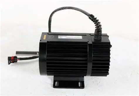 Top 20 global electric motor company